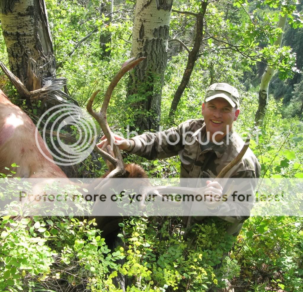 My pards Colorado archery bull - 24hourcampfire