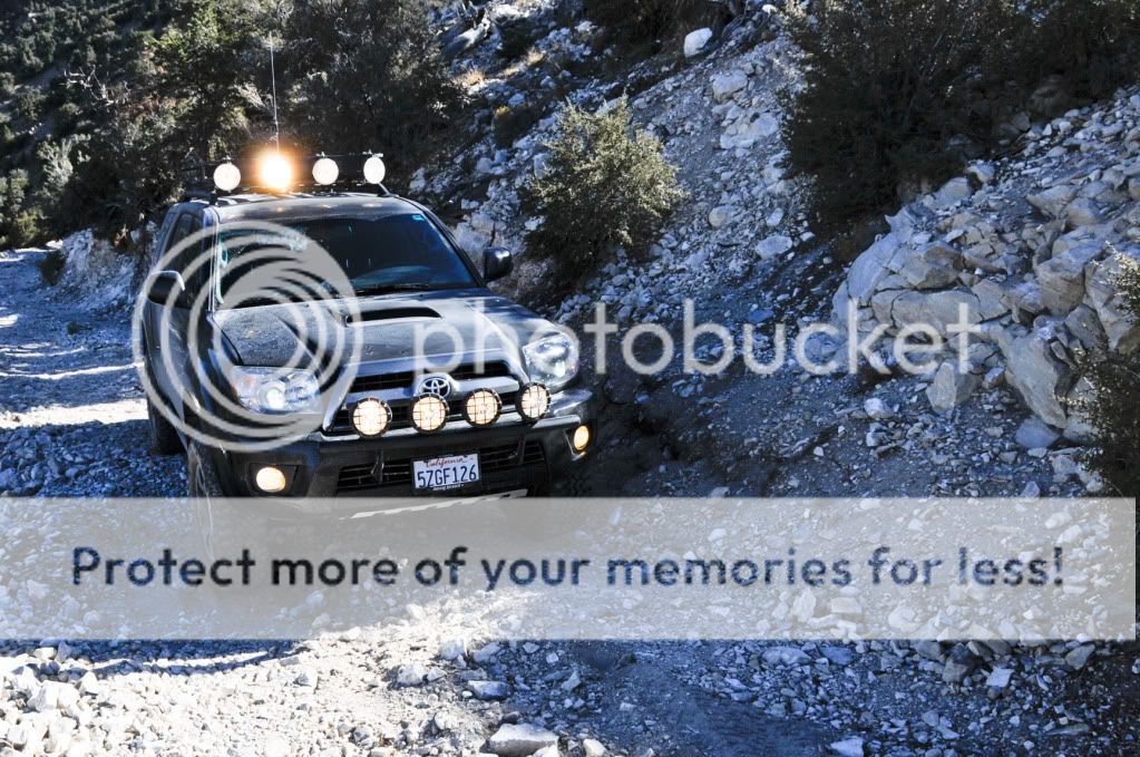 Westin ultimate bull bar or Defiant light bar - Toyota 4Runner Forum ...